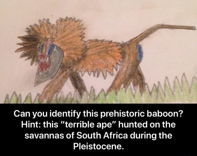 Can you identify this prehistoric baboon? Hint: this "terrible ape ...