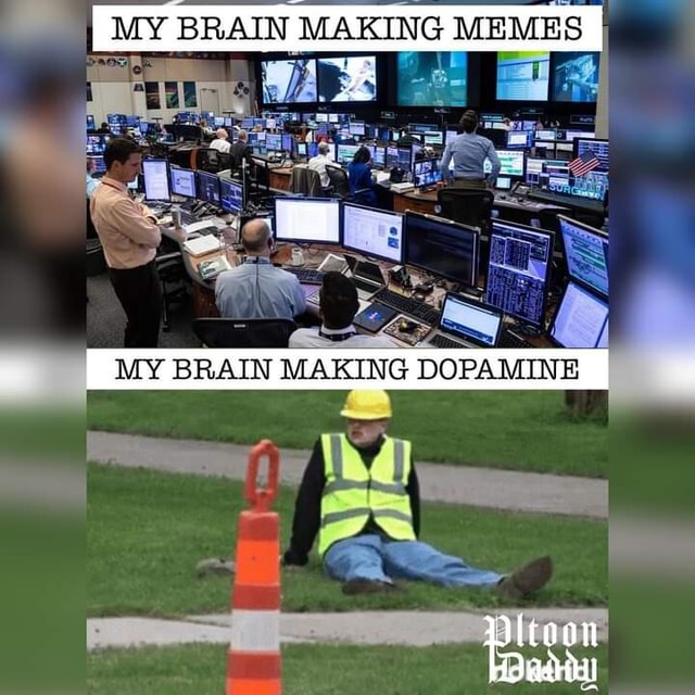 MY BRAIN MAKING MEMES MY BRAIN MAKING DOPAMINE - iFunny