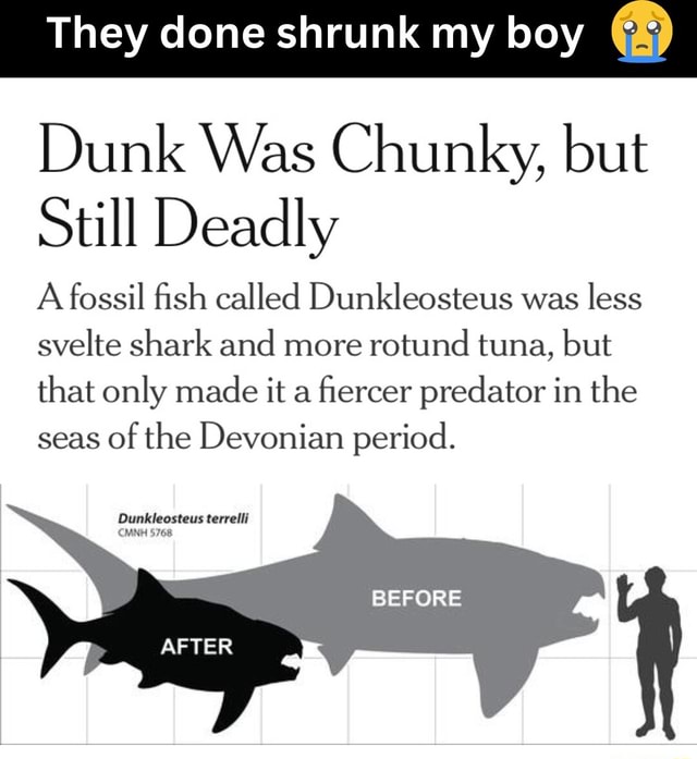 They done shrunk my boy Dunk Was Chunky, but Still Deadly A fossil fish ...