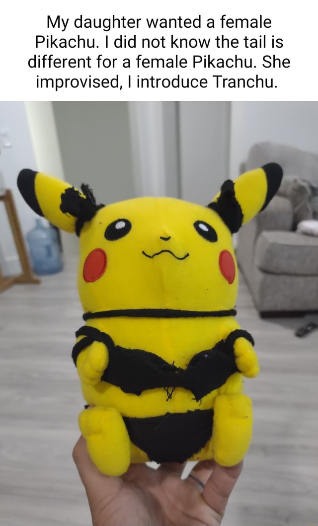 My daughter wanted a female Pikachu. I did not know the tail is ...