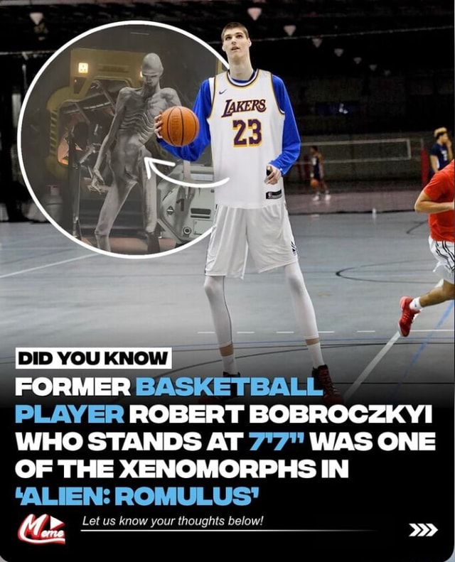 FORMER DID YOU BASKETBALL PLAYER ROBERT BOBROCZ2KYI WHO STANDS AT WAS ...