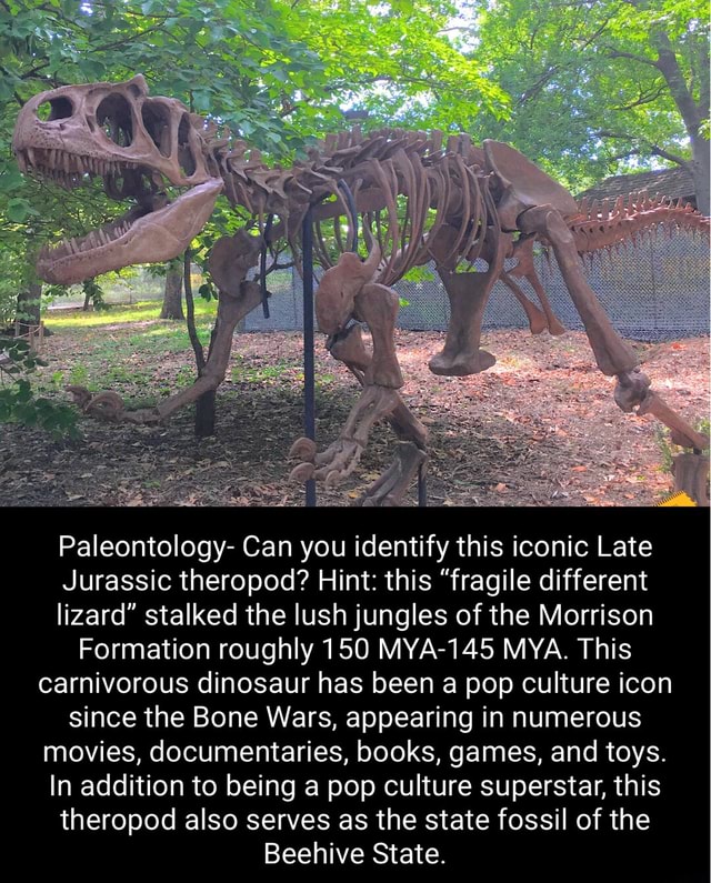 Paleontology- Can you identify this iconic Late Jurassic theropod? Hint ...