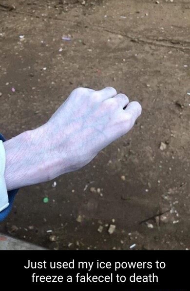 Just used my ice powers to freeze a fakecel to death - iFunny