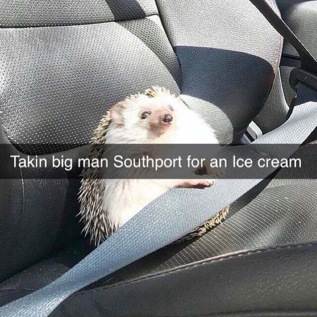 Takin big man Southport for an Ice cream - iFunny