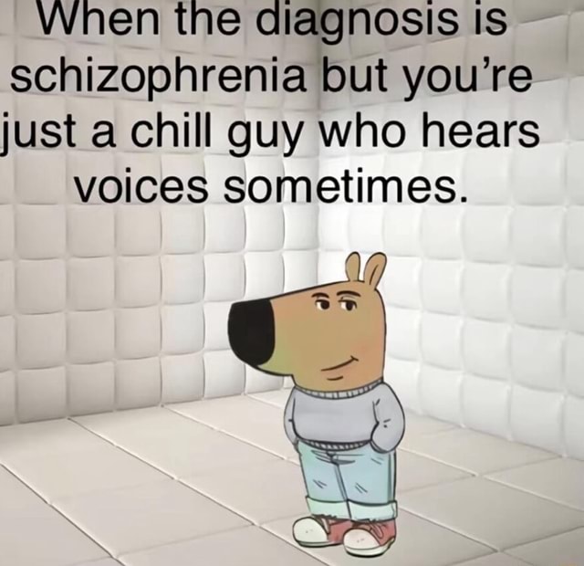 When the diagnosis IS schizophrenia but you're just a chill guy who ...