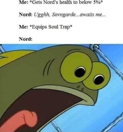 Neal Welow Nord: Ugghh, Sovngarde,,.awaits me... Me: *Equips Soul Trap ...