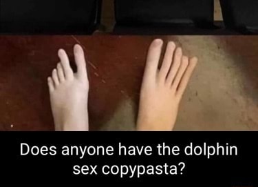 Does anyone have the dolphin sex copypasta? - iFunny