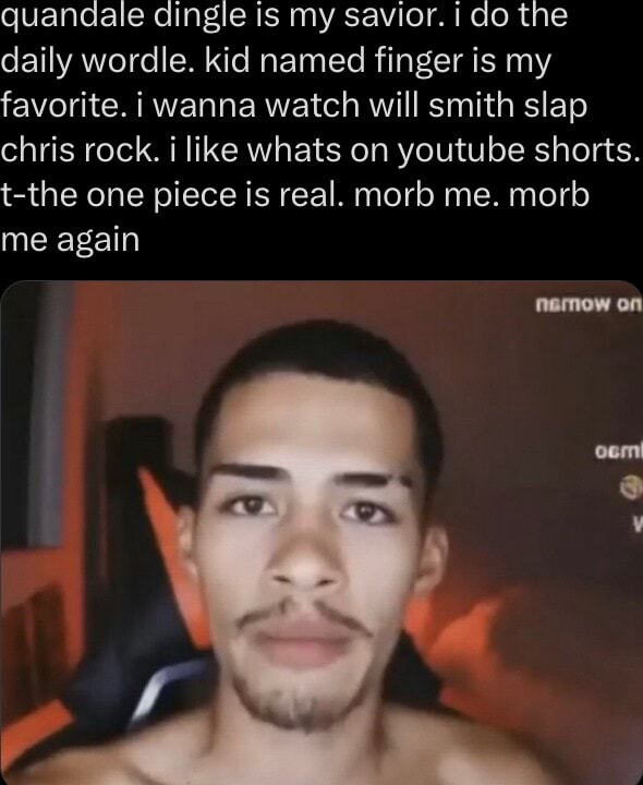 Quandale dingle is my savior. I do the daily wordle. kid named finger ...