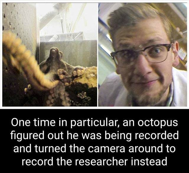 Picture memes yKBtpbL99 by Juvenalian: 159 comments - )