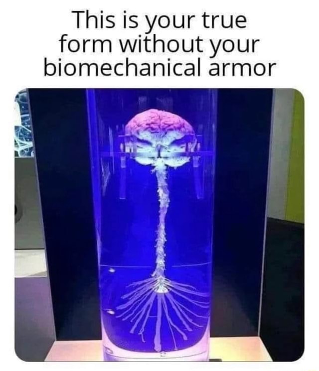This is your true form without your biomechanical armor - iFunny