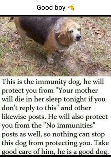 Good boy This is the immunity dog, he will protect you from "Your ...