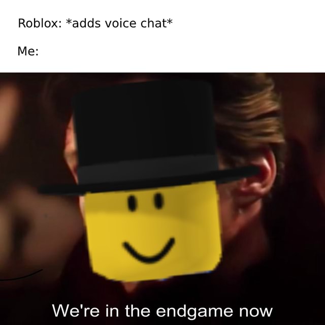 Roblox: *adds voice chat* Me: We're in the endgame now - iFunny