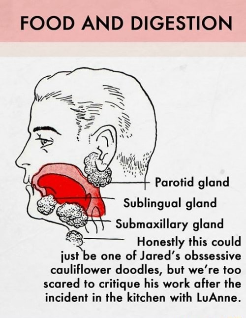 FOOD AND DIGESTION Parotid gland Sublingual gland Submaxillary gland ...