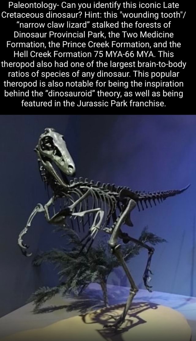 Paleontology- Can you identify this iconic Late Cretaceous dinosaur ...