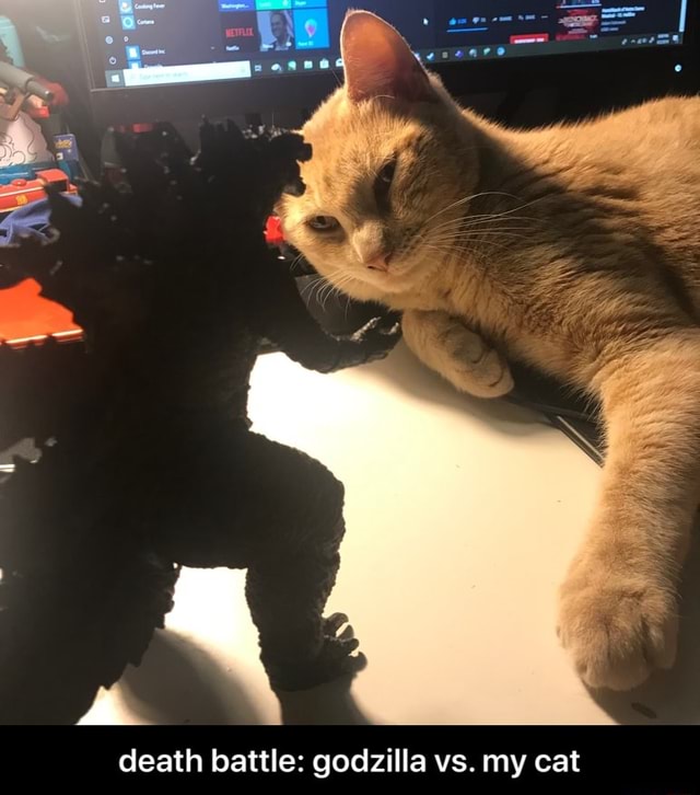 Death battle: godzilla vs. my cat - death battle: godzilla vs. my cat ...