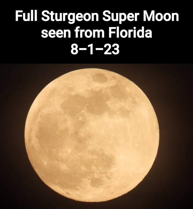 Full Sturgeon Super Moon seen from Florida 8-1-23 - America’s best pics ...