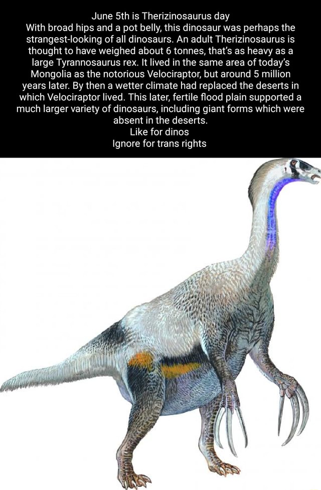 June Sth Is Therizinosaurus Day With Broad Hips And A Pot Belly This
