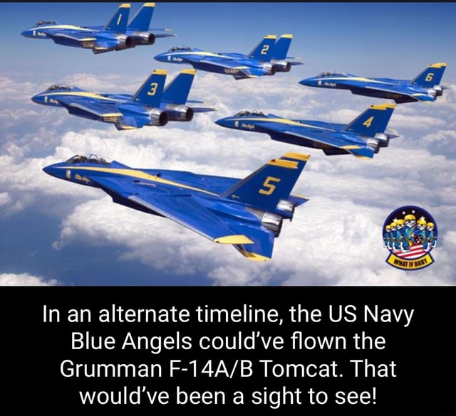 In an alternate timeline, the US Navy Blue Angels could've flown the ...
