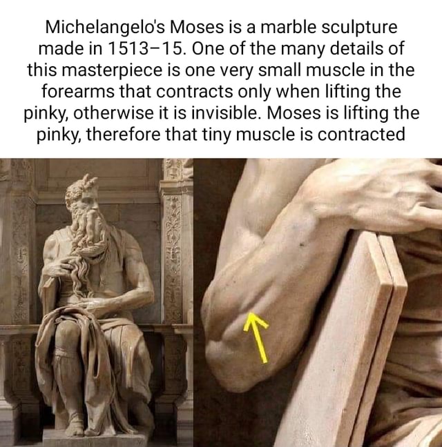 Michelangelo's Moses is a marble sculpture made in 1513-15. One of the ...