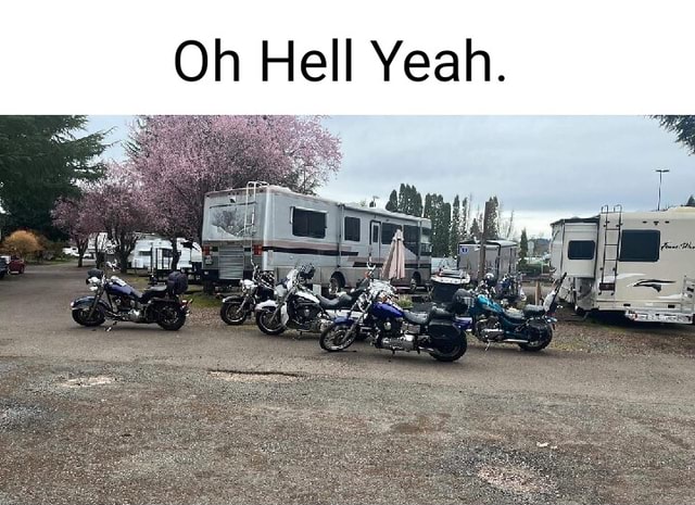 Oh Hell Yeah. - America’s best pics and videos