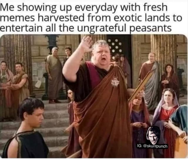 Me showing up everyday with fresh memes harvested from exotic lands to ...