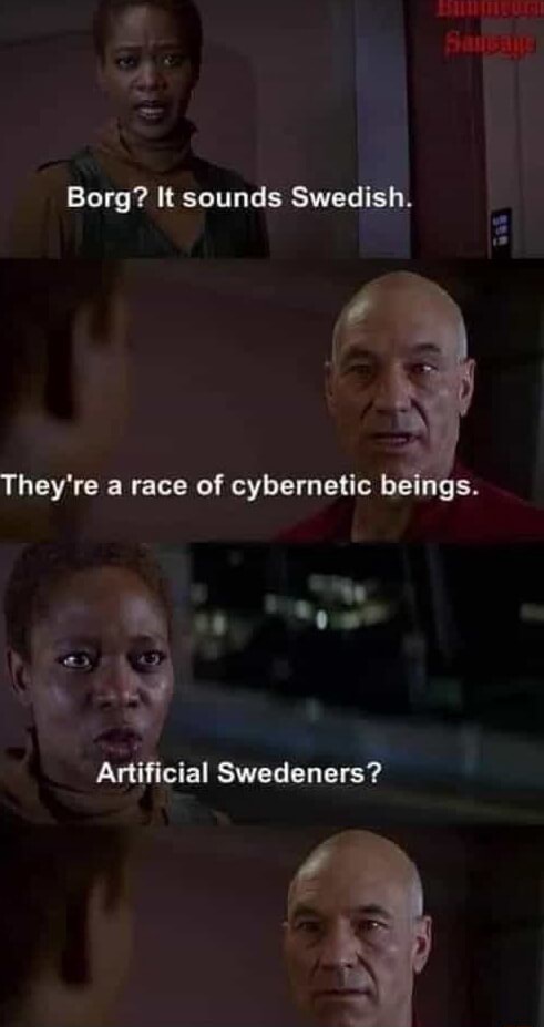 Borg? It sounds Swedish. They're a race of cybernetic b Artificial ...