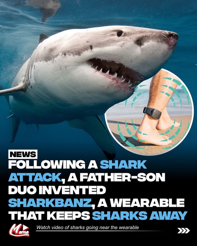 Sharkbanz’ electromagnetic field deters sharks by disrupting their ...