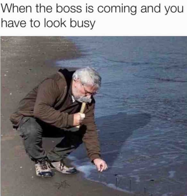 When the boss is coming and you have to look busy - iFunny
