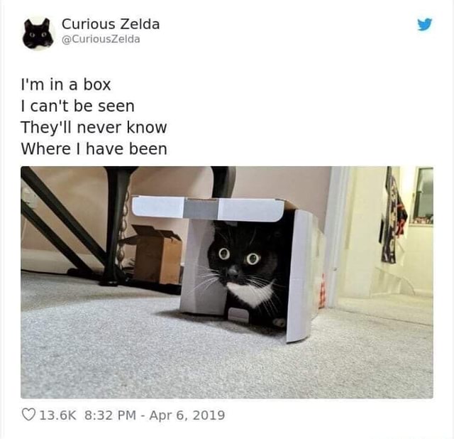 Curious Zelda I'm in a box can't be seen They'll never know Where I ...