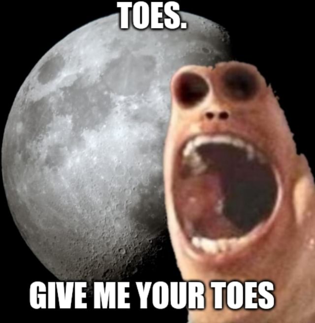 TOES. GIVE ME YOUR TOES - iFunny