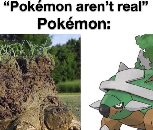 "Pokemon aren't real" Pokemon: - iFunny