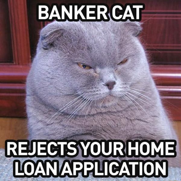 BANKER CAT REJECTS YOUR HOME LOAN APPLICATION - iFunny