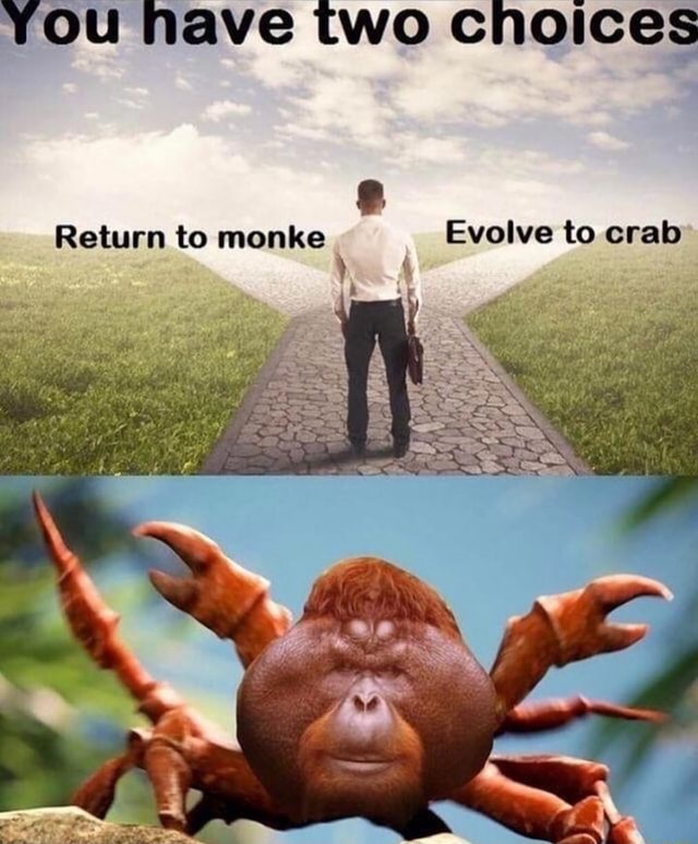 You nave two choices Return to monke Evolve to crab - iFunny