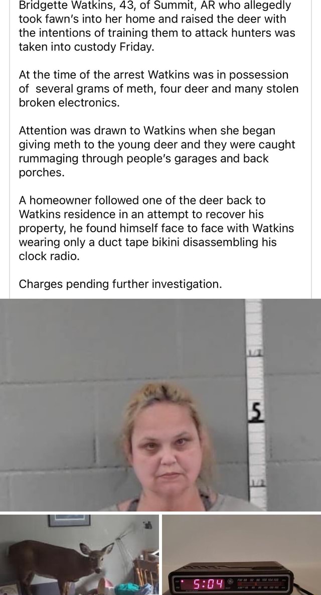 Bridgette Watkins, 43, of Summit, AR who allegedly took fawn's into her ...