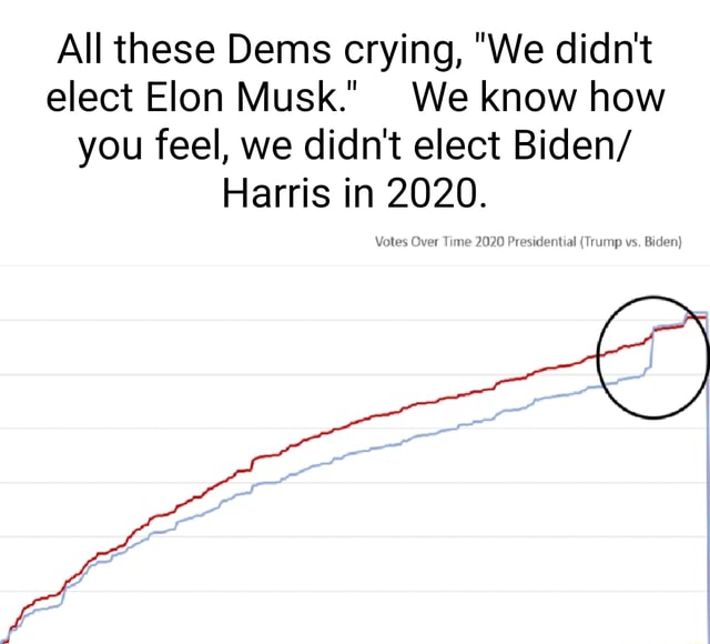 All these Dems crying, "We didn't elect Elon Musk." We know how you ...