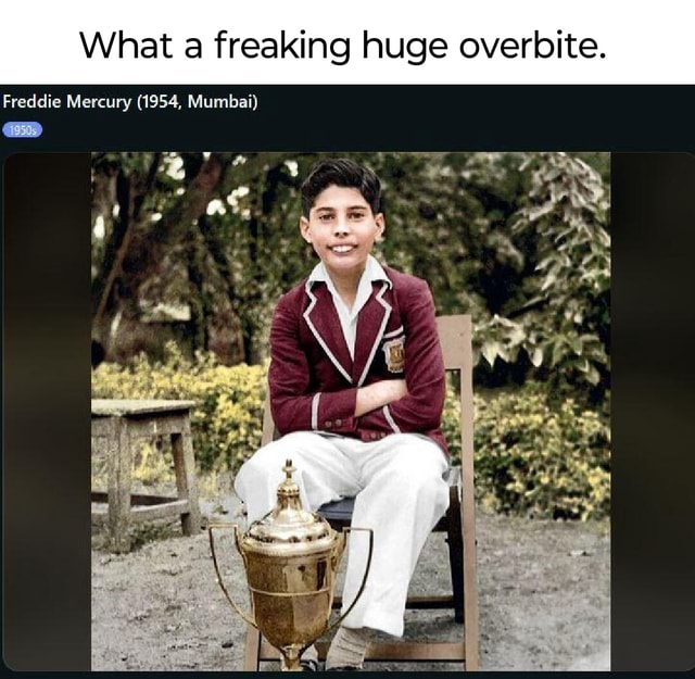 What a freaking huge overbite. Freddie Mercury (1954, Mumbai) aG. - iFunny