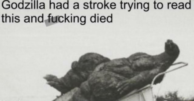 Godzilla had a stroke trying to read this and fucking died - iFunny