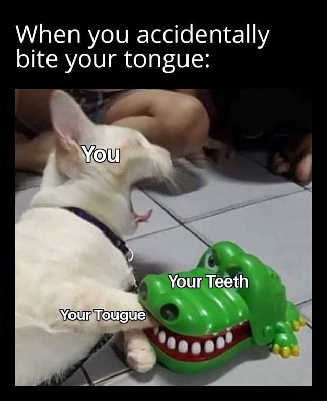 When you accidentally bite your tongue: You Your Teeth Your Tougue - iFunny