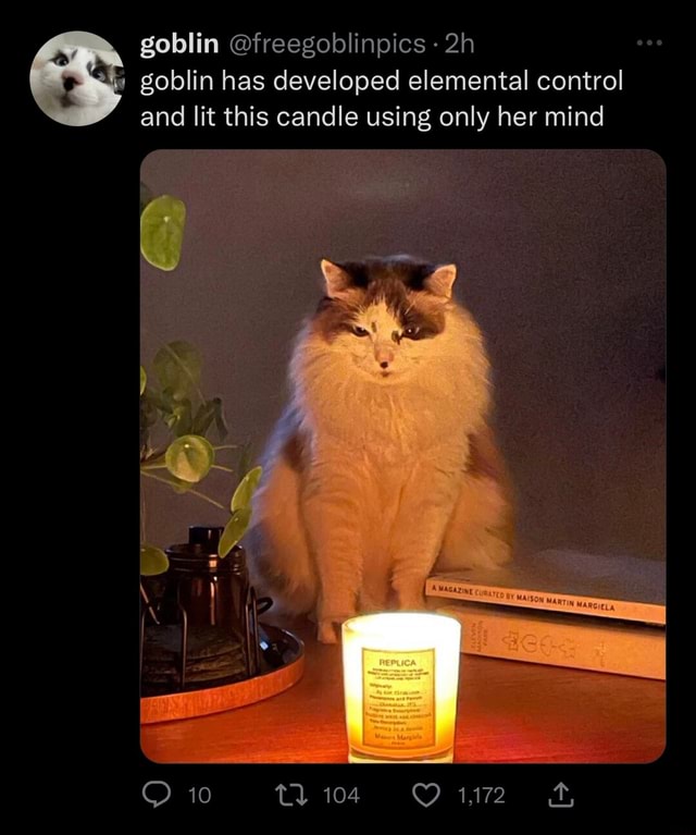 Goblin @freegoblinpics - goblin has developed elemental control and lit this candle using only ...