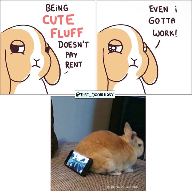 BEING CUTE FLUFF DOESN'T PAY &r) RENT @THAT_ DOODLE Guy EVEN GOTTA WORK ...