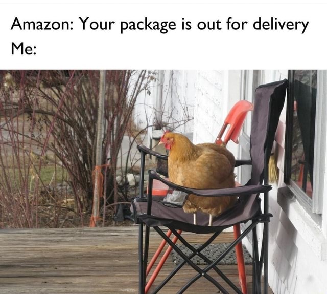 Amazon: Your package is out for delivery Me: - iFunny