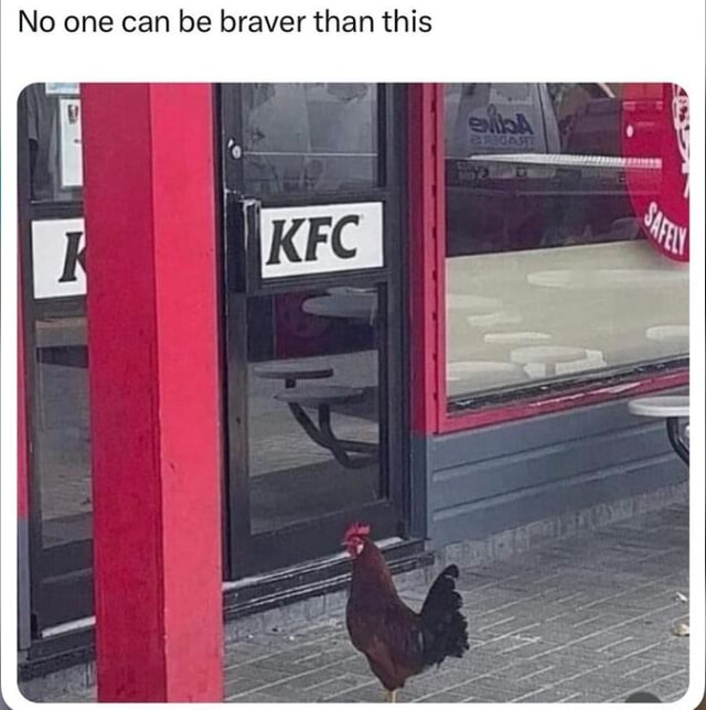 No one can be braver than this - iFunny