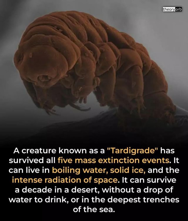 A creature known as a "Tardigrade" has survived all five mass ...