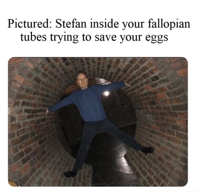 Pictured: Stefan inside your fallopian tubes trying to save your eggs ...