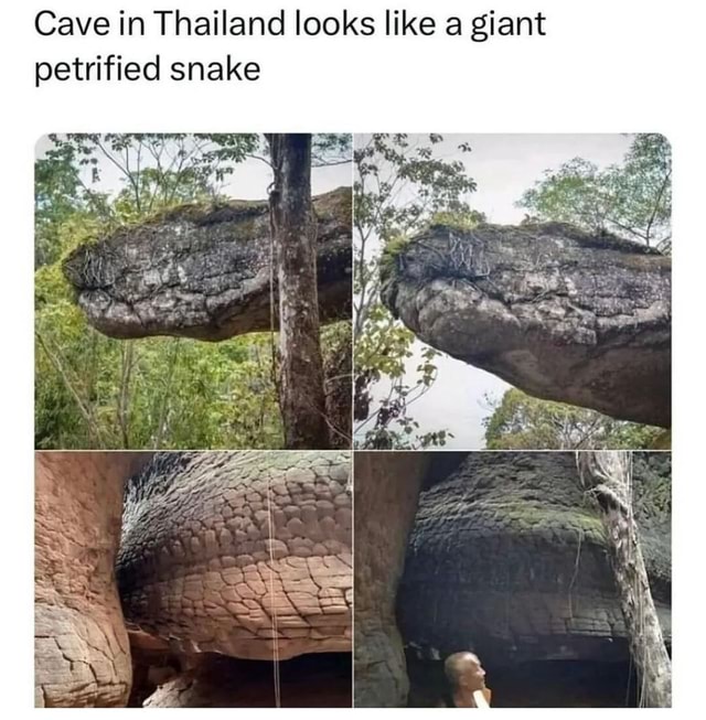 😳 #memes #snake #viral #explore - Cave in Thailand looks like a giant ...