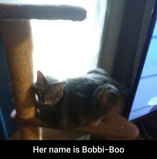 Her name is Bobbi-Boo - Her name is Bobbi-Boo - iFunny