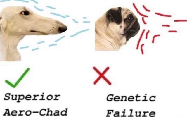 Ad I Superior Genetic Aero-Chad Failure - iFunny