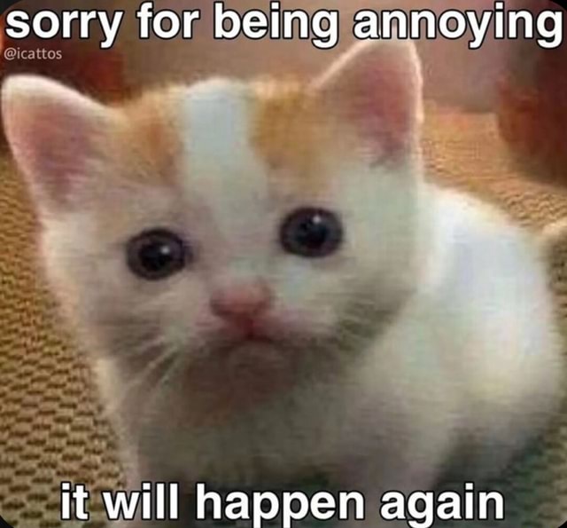 Sorry for being annoying it will happen again - iFunny