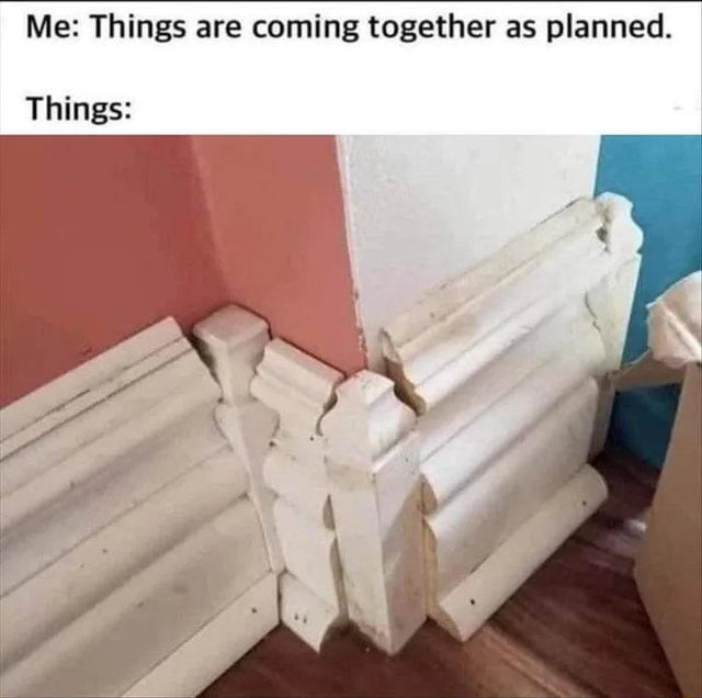 Lukewarm memes - Me: Things are coming together as planned. Things ...