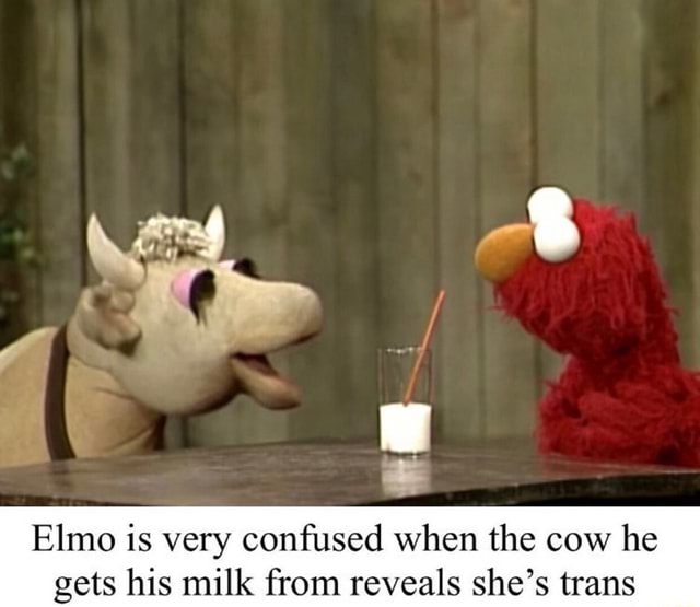 Elmo is very confused when the cow he gets his milk from reveals she’s ...